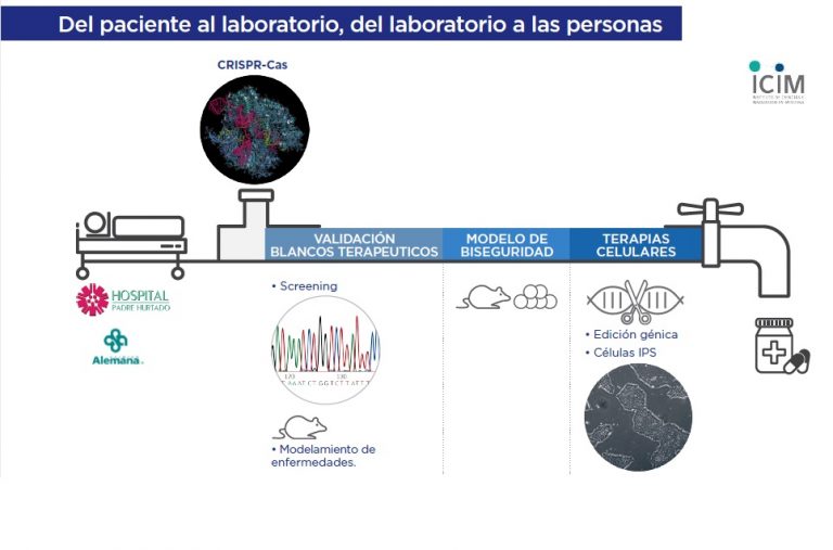 CRISPR/Cas9: innovadora técnica para editar el genoma humano y abordar ...