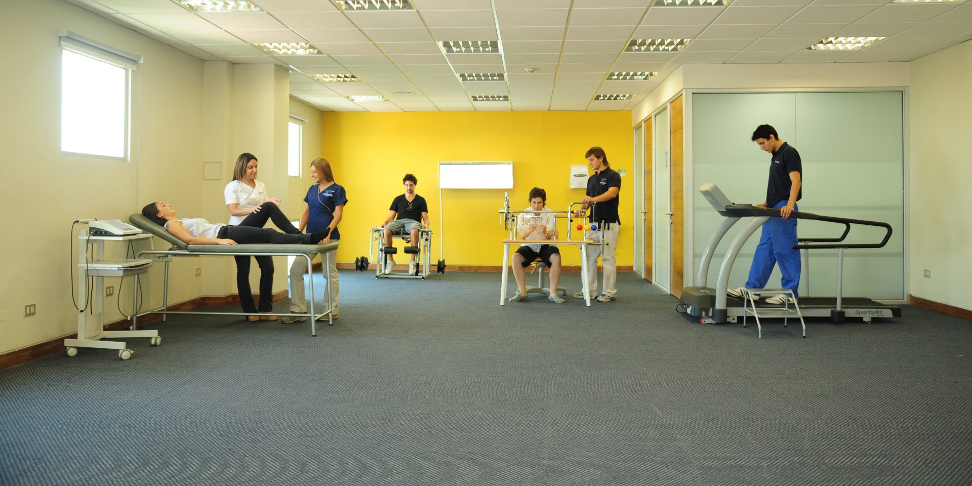 XIII Congreso de la Confederación Latinoamericana de Fisioterapia y ...